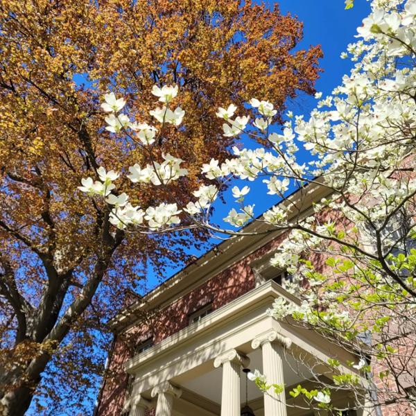 Ten Broeck Mansion Tours 2026 | Maurice D. Hinchey Hudson River Valley ...