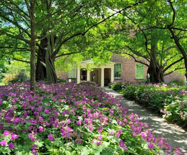 The Mayor’s Garden: History of the Ten Broeck Mansion Gardens & Workers ...