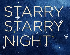 Starry Starry Night at the Walkway | Maurice D. Hinchey Hudson River ...