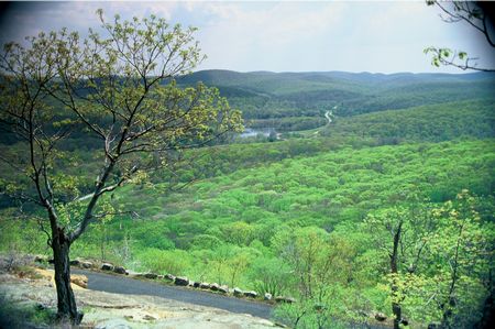 Bear Mountain State Park | Landscape, Environmental Educational Center ...