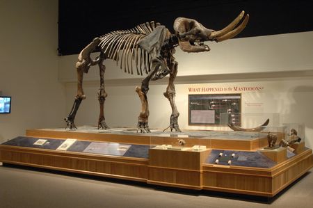 New York State Museum | Museum | Maurice D. Hinchey Hudson River Valley ...