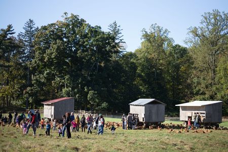 Stone Barns Center for Food and Agriculture | Environmental Educational ...