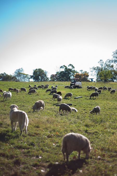 Stone Barns Center for Food and Agriculture | Environmental Educational ...