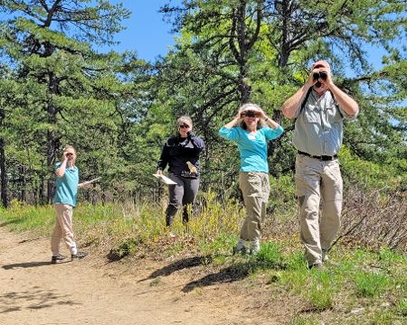Barrens Birding Blitz | Maurice D. Hinchey Hudson River Valley National ...
