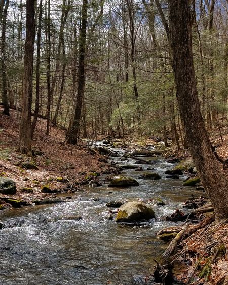 Hike at Fuller Mountain Preserve | Maurice D. Hinchey Hudson River ...